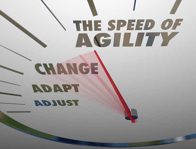Newfound Agility: Two Retailers that Adapted to Rapid Change